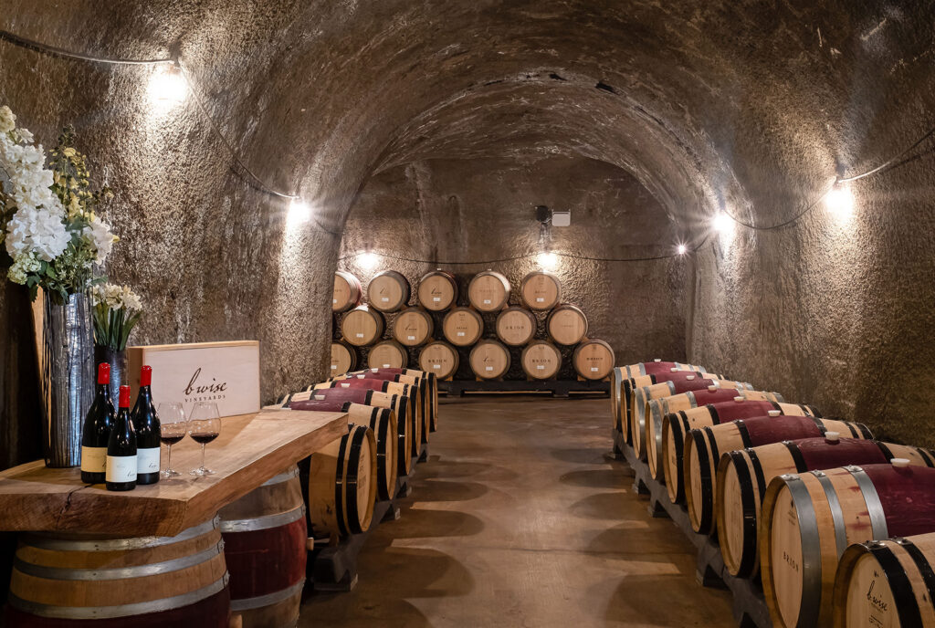 Visit - B. Wise Vineyards