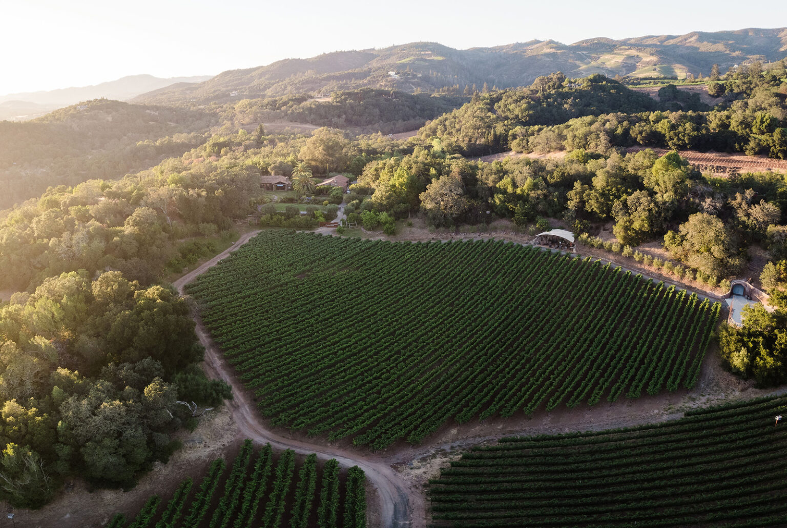 Visit - B. Wise Vineyards