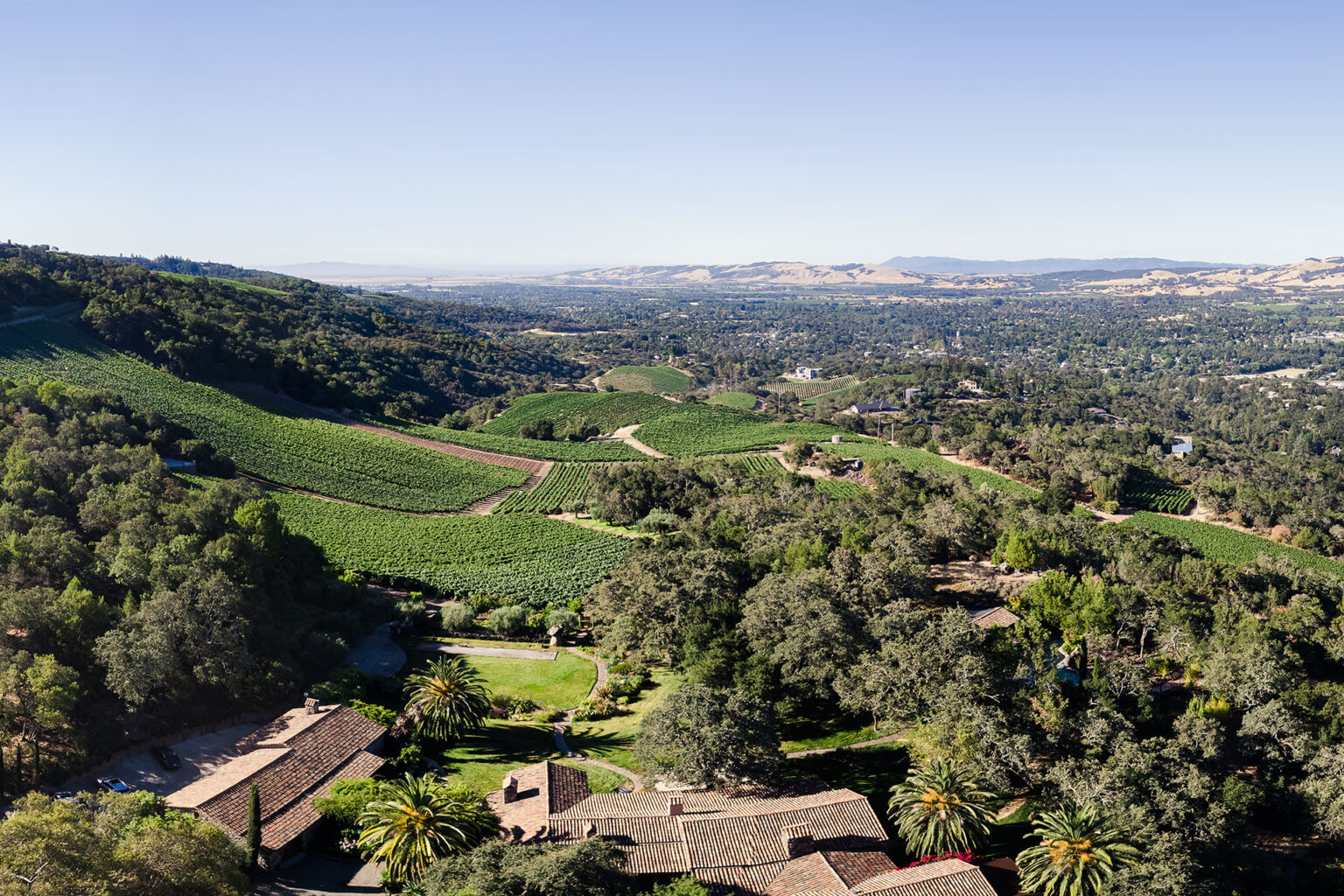 Visit - B. Wise Vineyards
